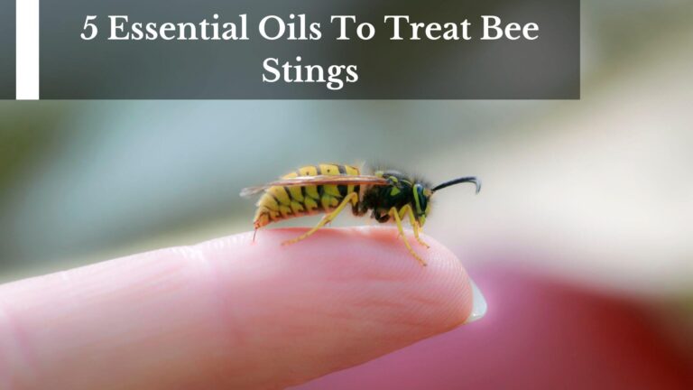5 Essential Oils To Treat Bee Stings