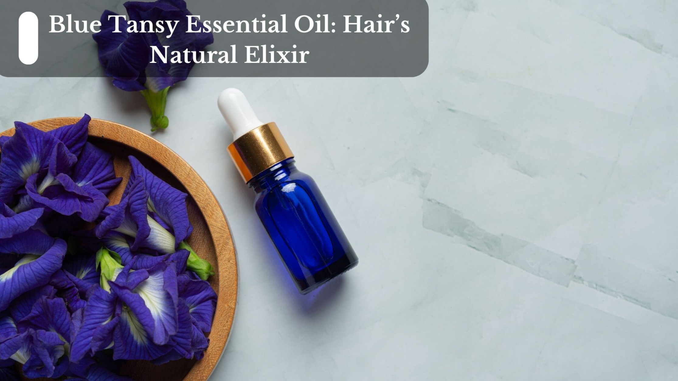Blue Tansy Essential Oil: Hair's Natural Elixir