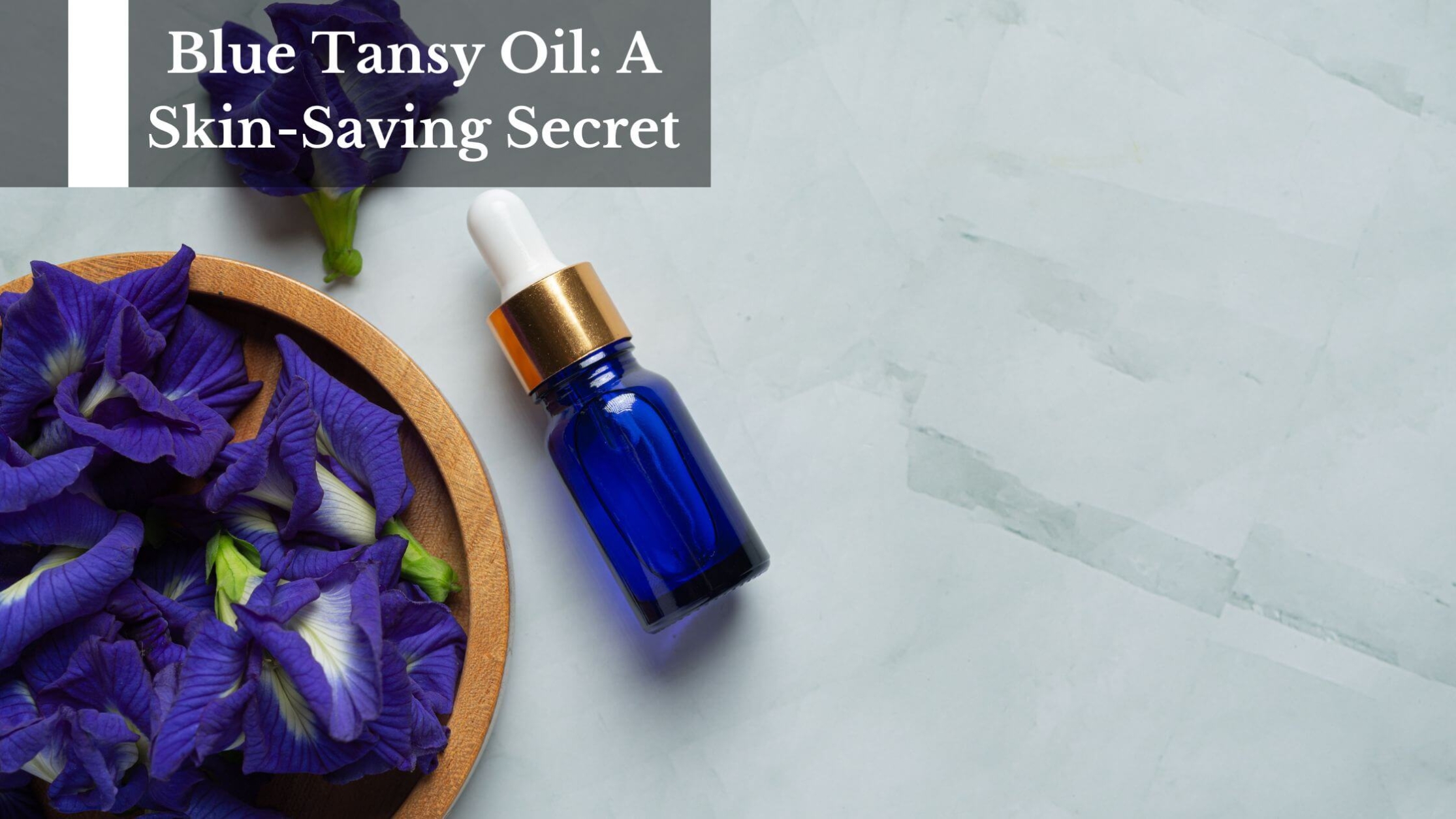 Blue Tansy Oil: A Skin-Saving Secret