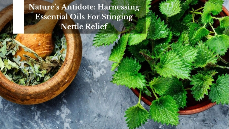 Nature's Antidote: Harnessing Essential Oils For Stinging Nettle Relief