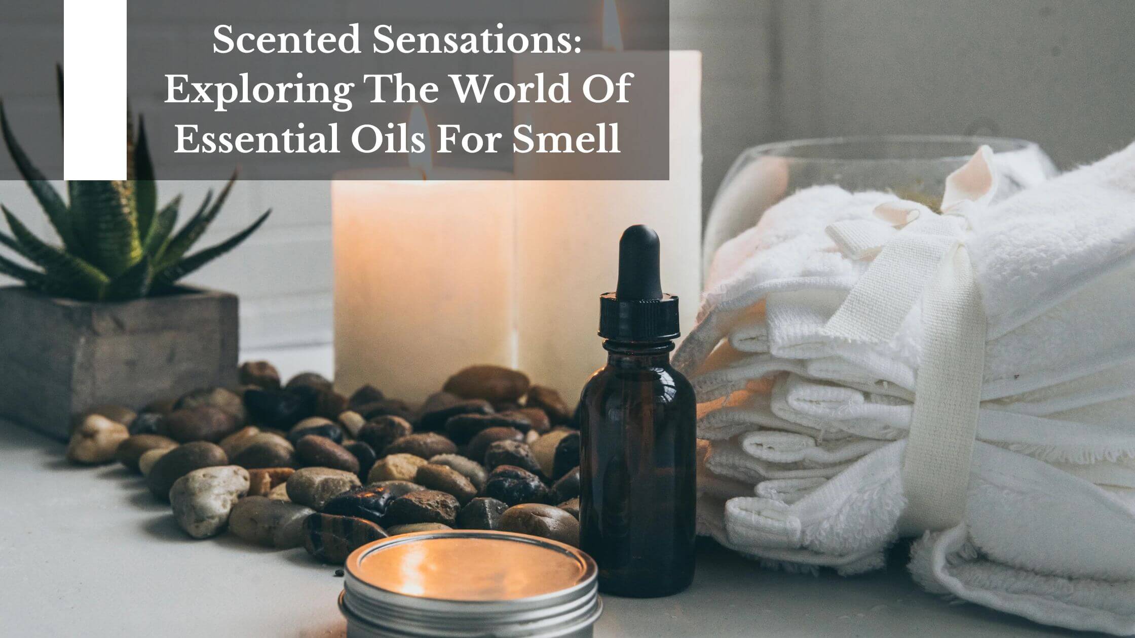 Scented Sensations: Exploring The World Of Essential Oils For Smell