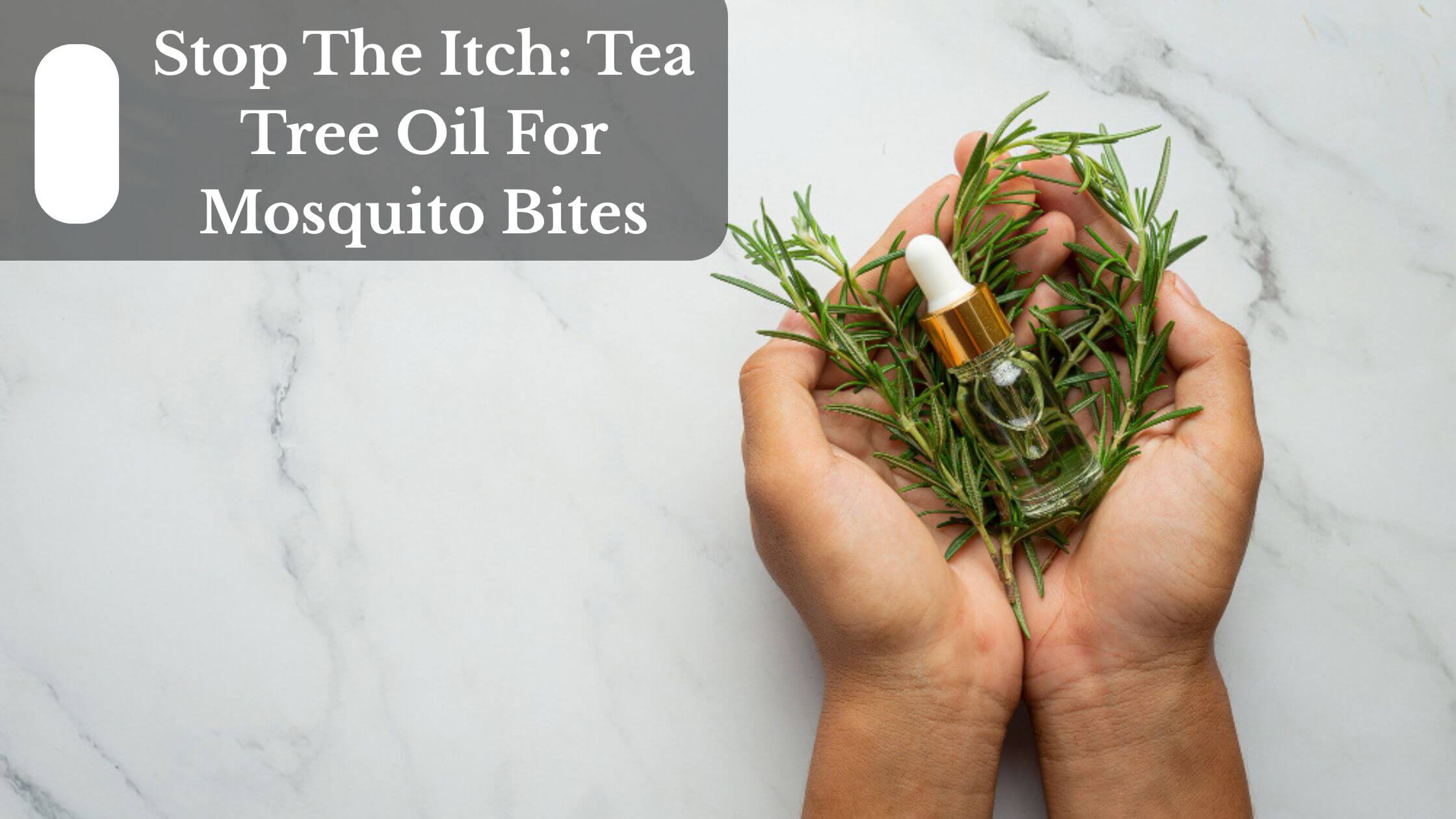 Stop The Itch: Tea Tree Oil For Mosquito Bites